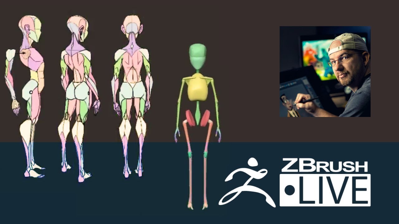 Shane Olson – Stylized Anatomy – Episode 1 – ZBrushLIVE